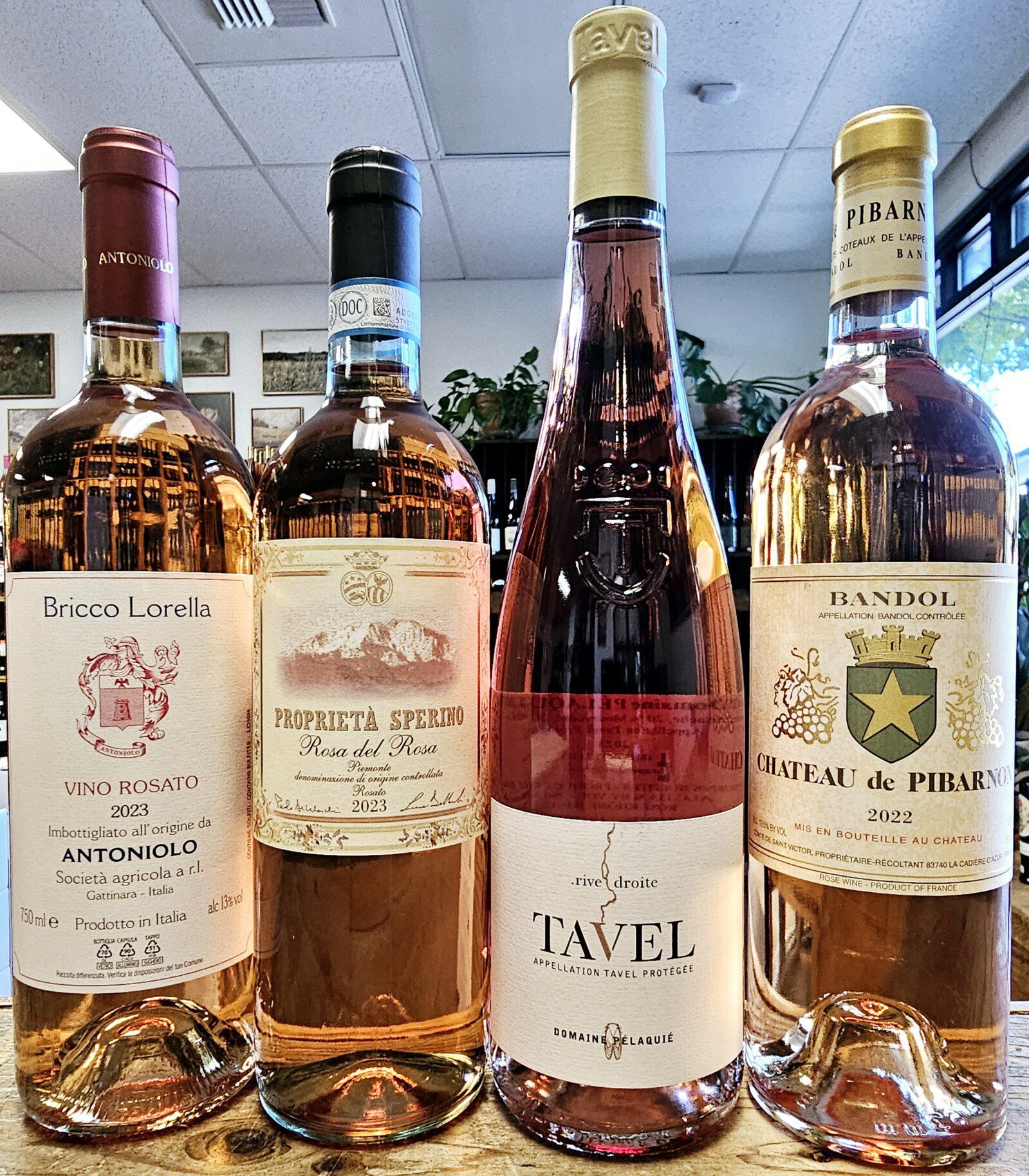 A Tale of Two Rosés: Exploring French and Italian Rosé Wines - University Wines